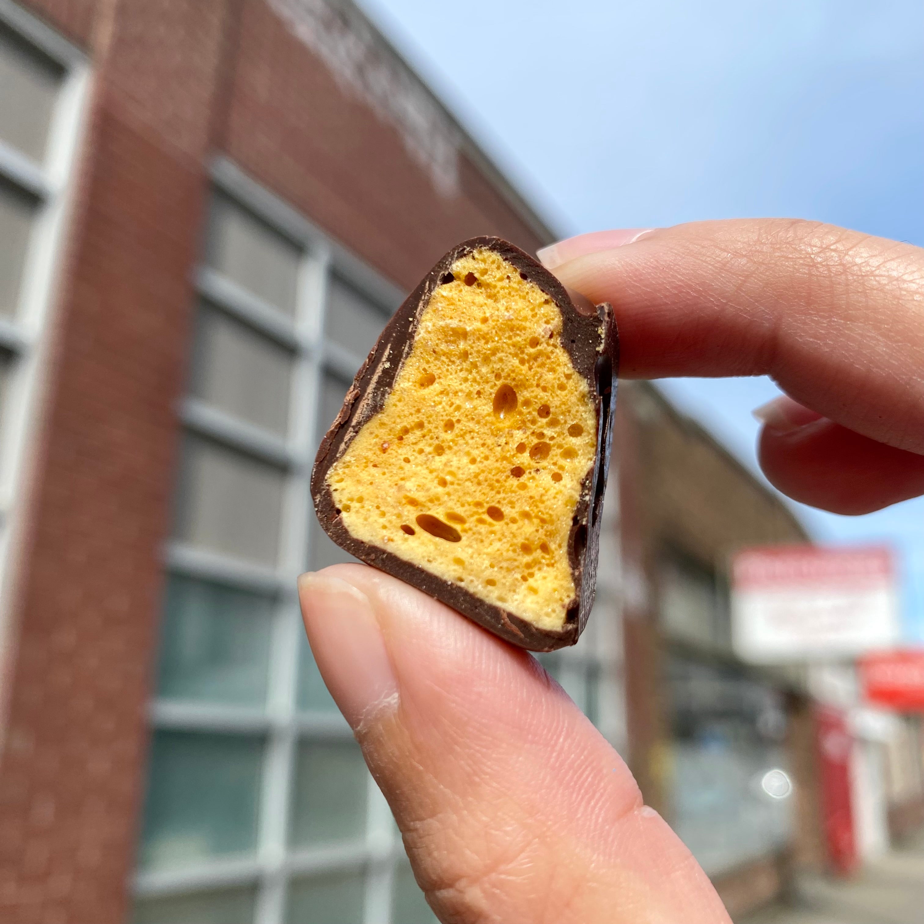 Beehives from Bite Society